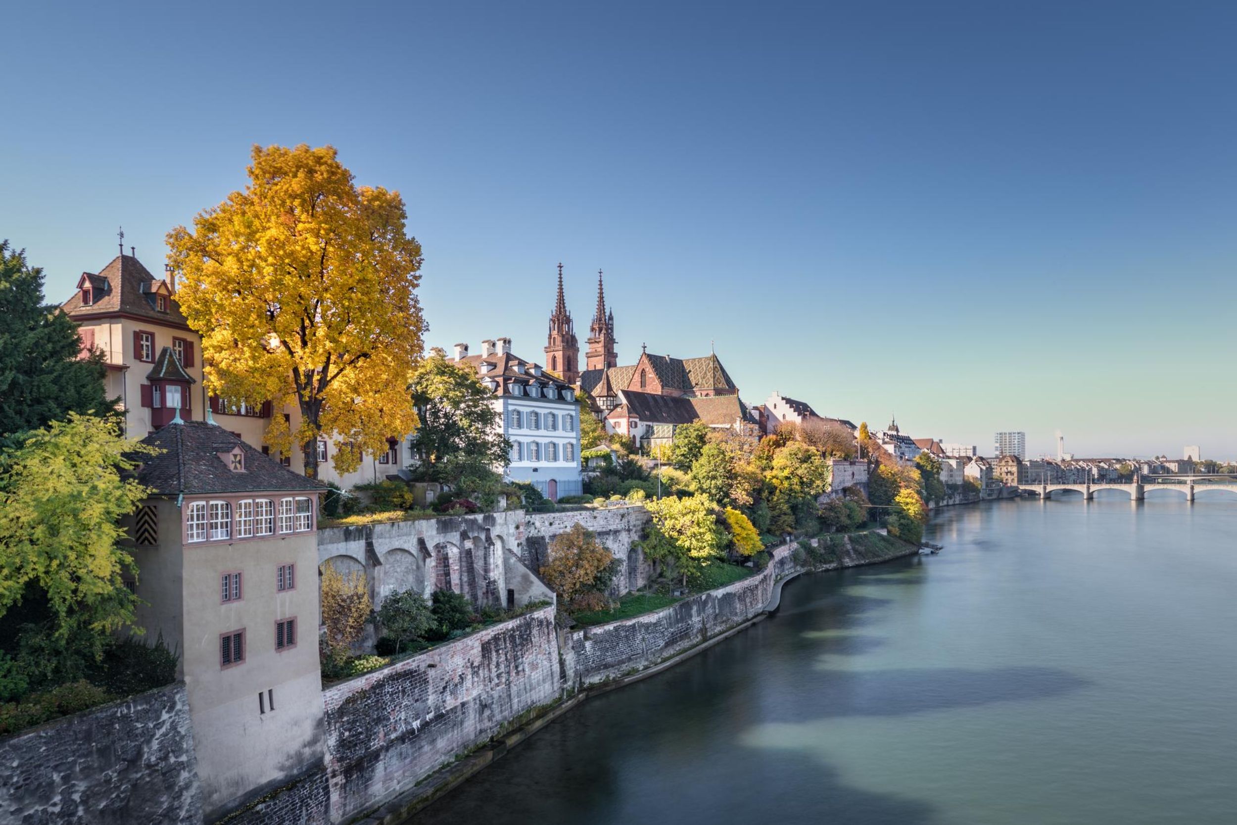 Symposium on Cell Therapies